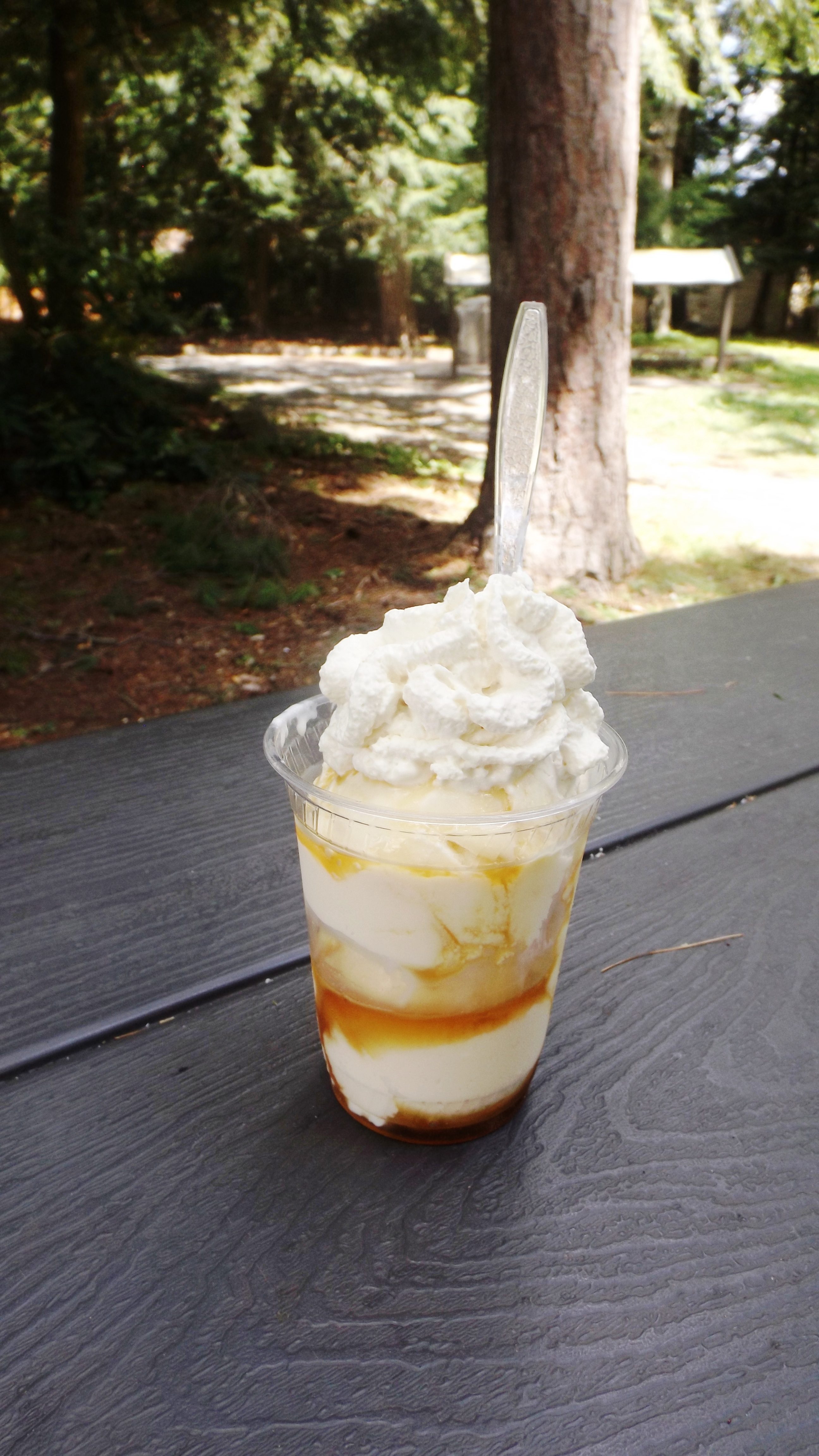 Our Third Grand Canyon – Life on the Blue Highways